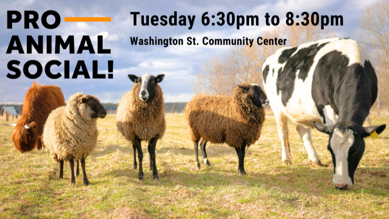 PAF Social! (& Lobbying Training!) - Pro-Animal Future