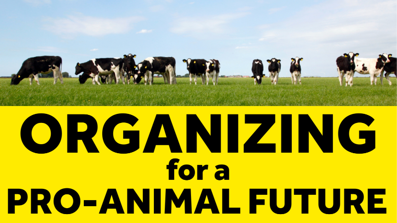 Organizer Training (Virtual - Any Location!) - Pro-Animal Future